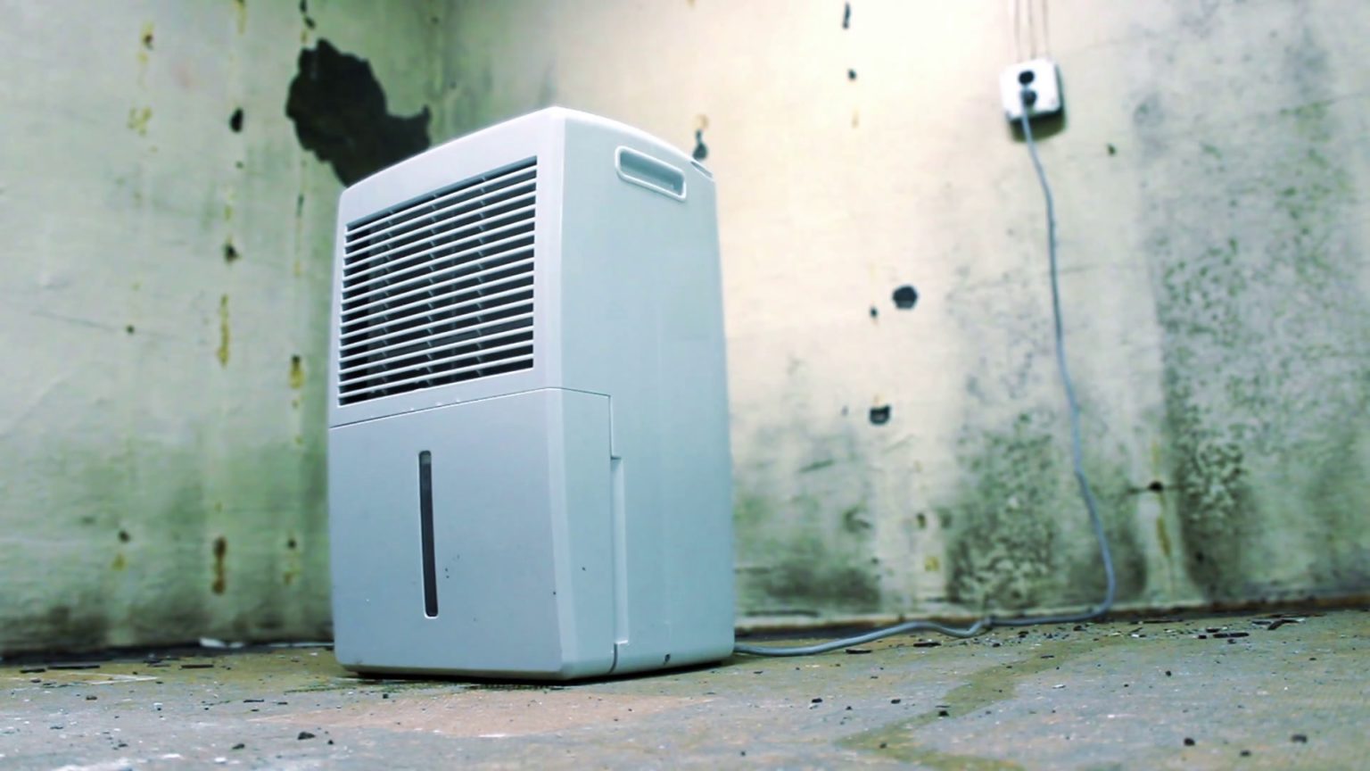 Les 5 meilleurs déshumidificateurs pour cave et sous-sol - Oxygenix